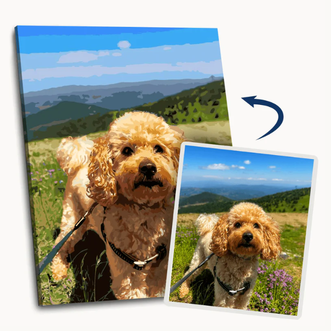 DYNAMICITY™ - CUSTOM PAINT DYNAMICITY™ - CUSTOM PAINT DYNAMICITY™ - CU ...